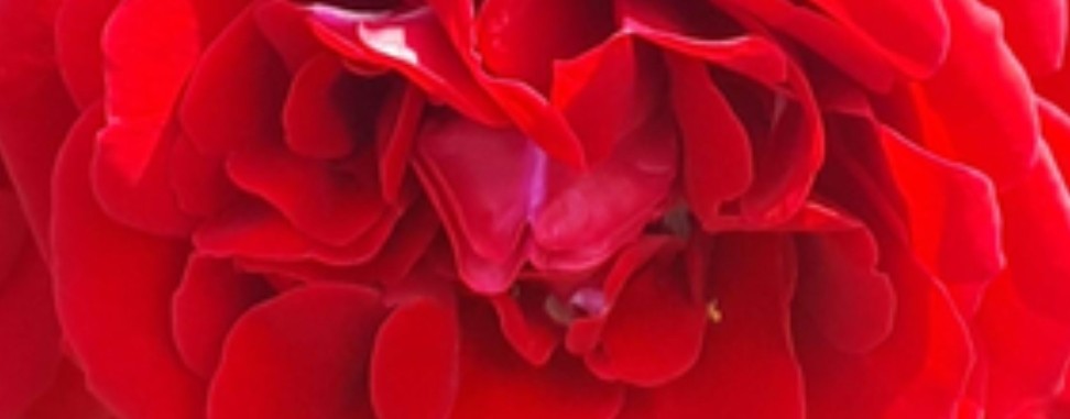 Ремонт Дома Своими Руками