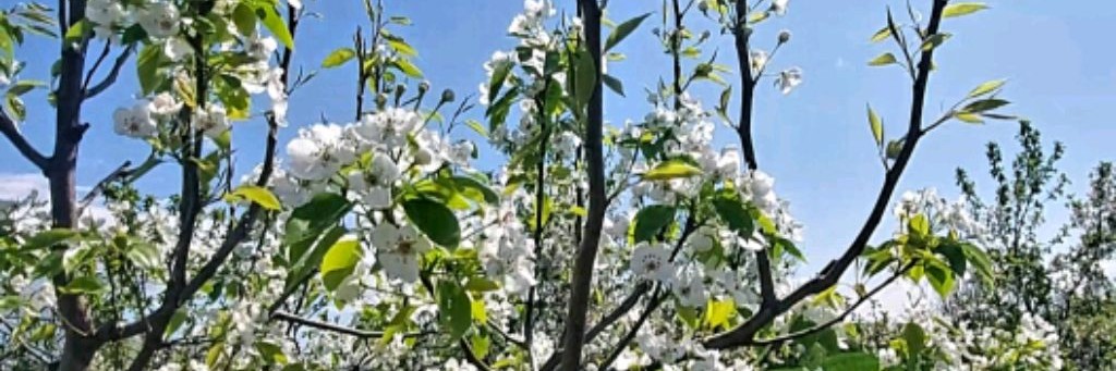 У Маришки Интересно