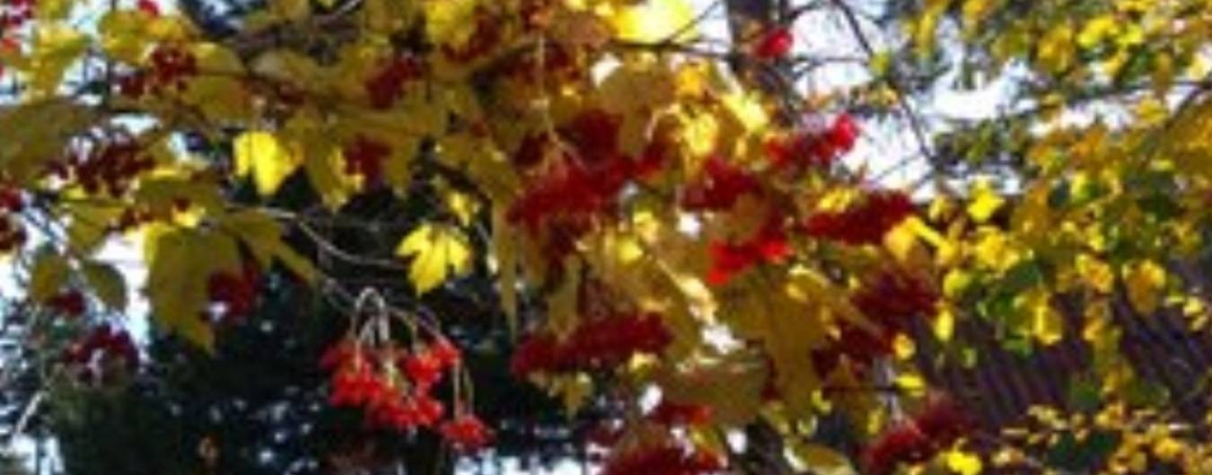 Мой серебряный возраст