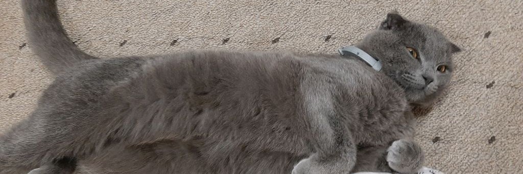 Ирина Дедова.Рукоделие и не только