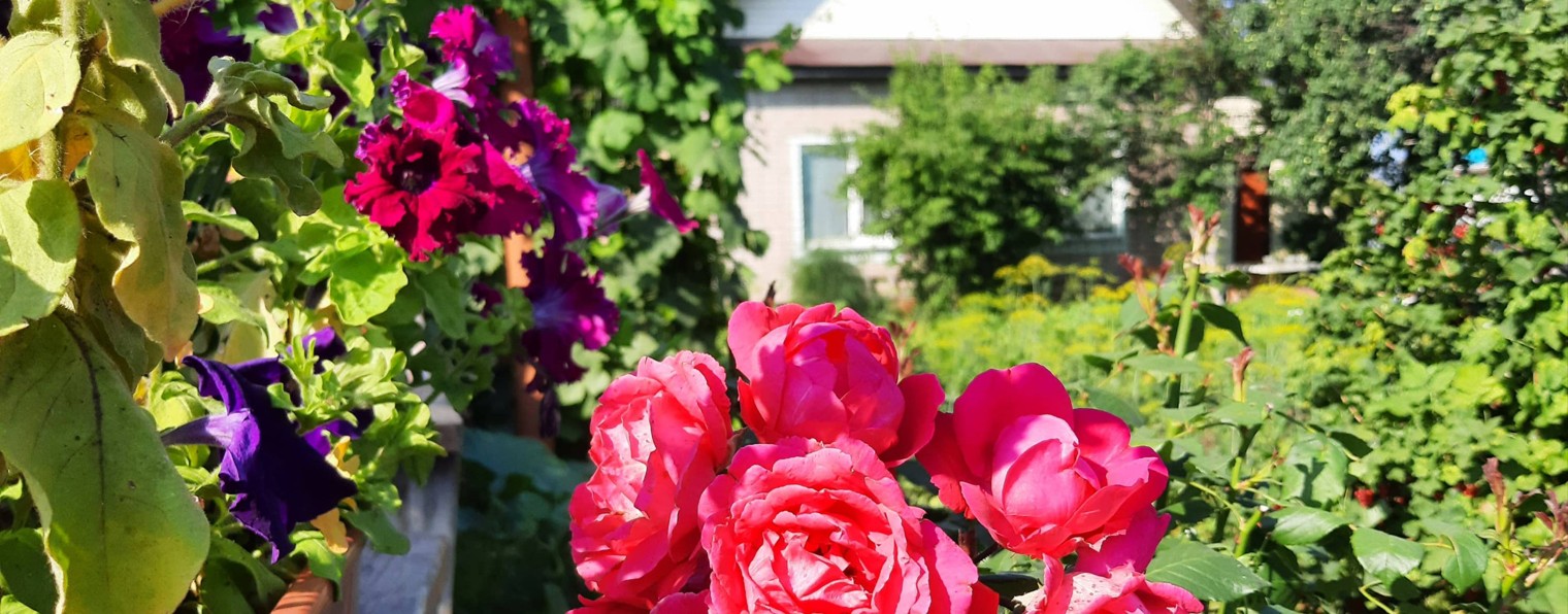 Бывшие городские