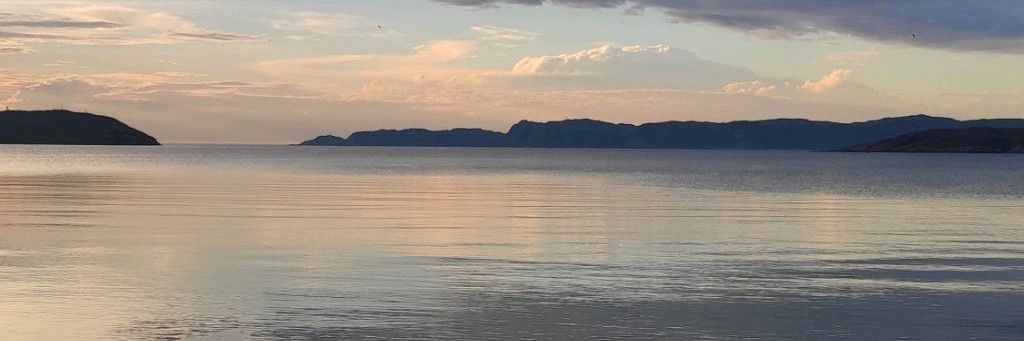 ЛОХМАН/певица/нутрициолог