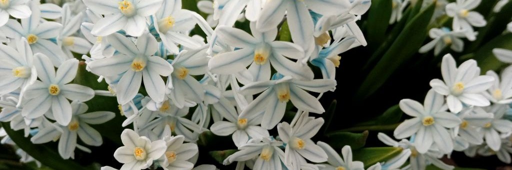 Обзоры на различные товары и не только.