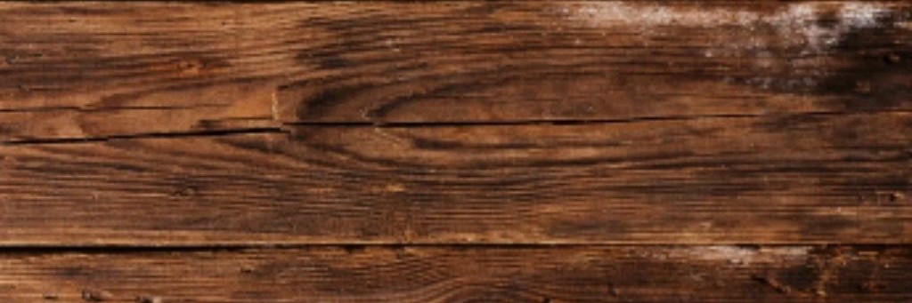 Romych&Lerych🐒🤎👽