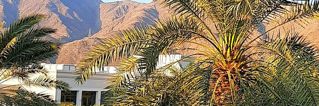 ВСЁ ОБО ВСЁМ