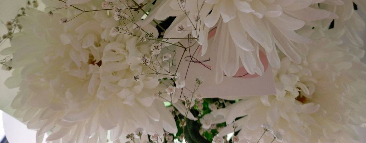 Наталья и Степан - наши будни