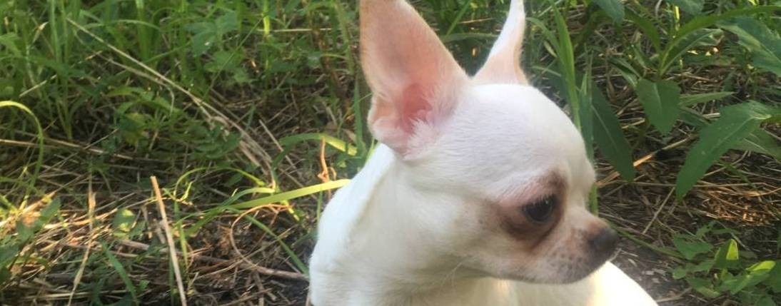 Татьяна - по немногу обо всем.