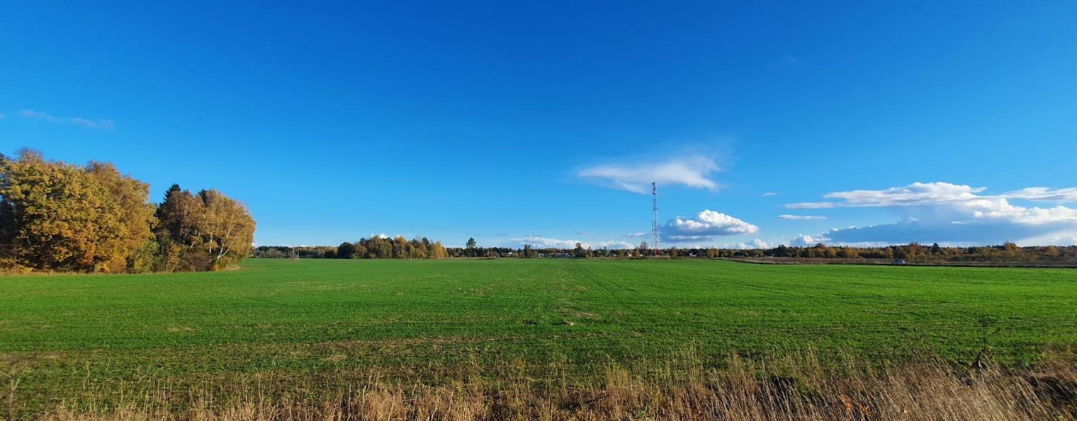 БезСоседей