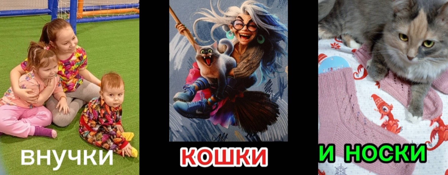 Внучки кошки и носки.