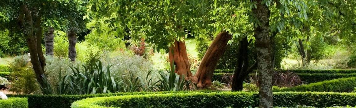 Первая Академия Сада