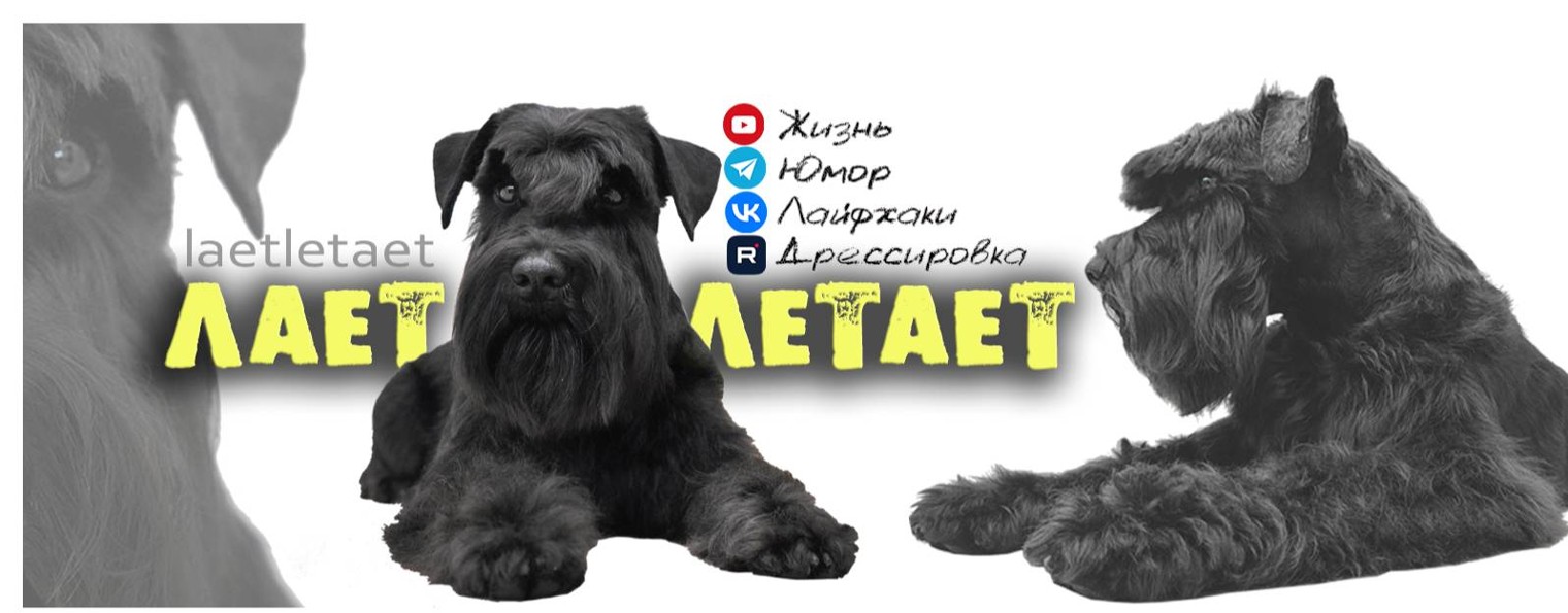 ЛаетЛетает