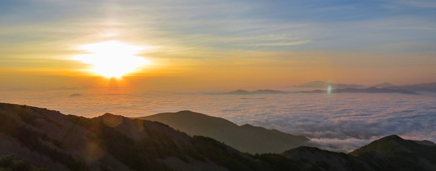 Это всё цветочки