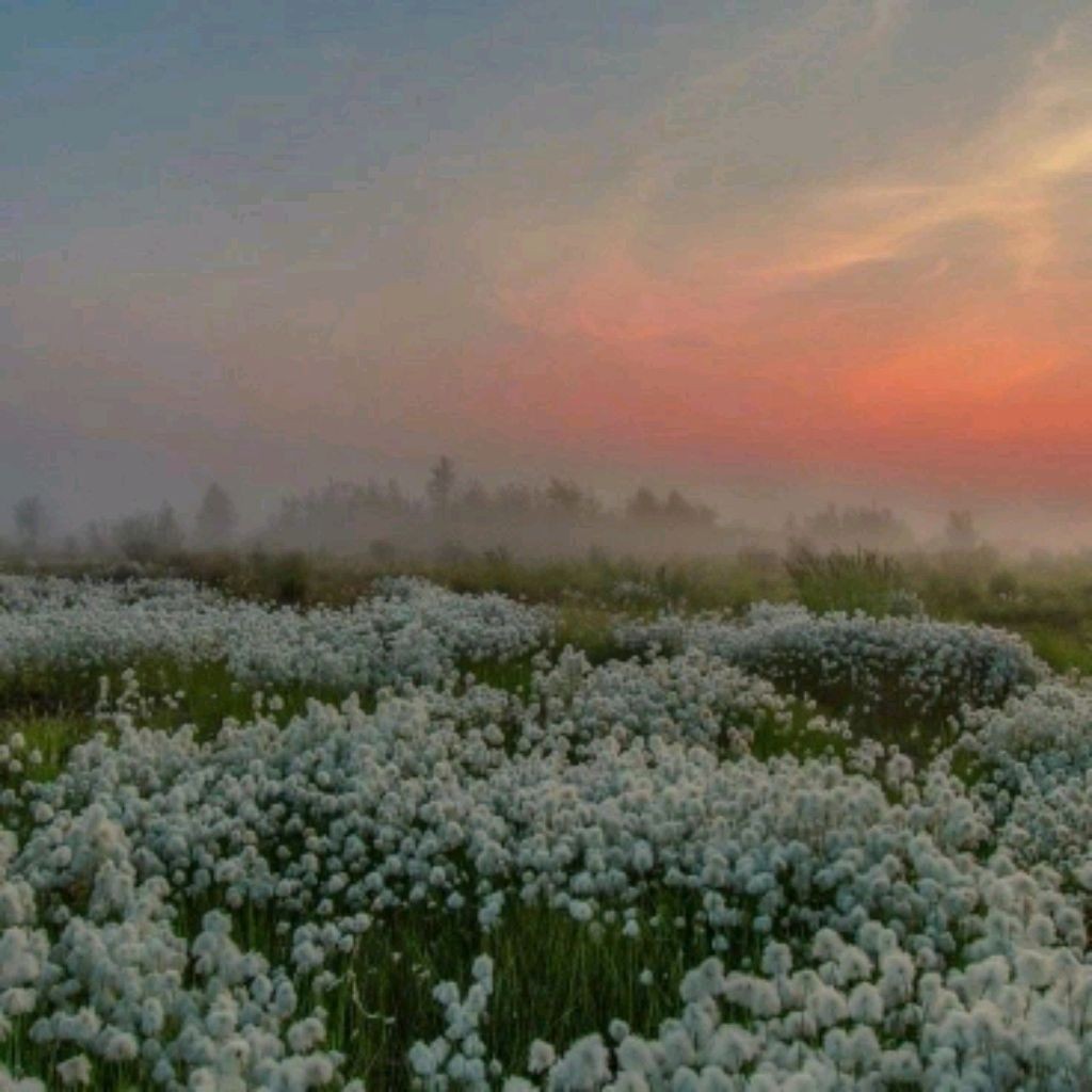 Дорошева Вероника
