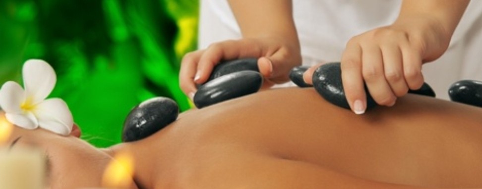 SPA "СИЛА ЛЕСА"