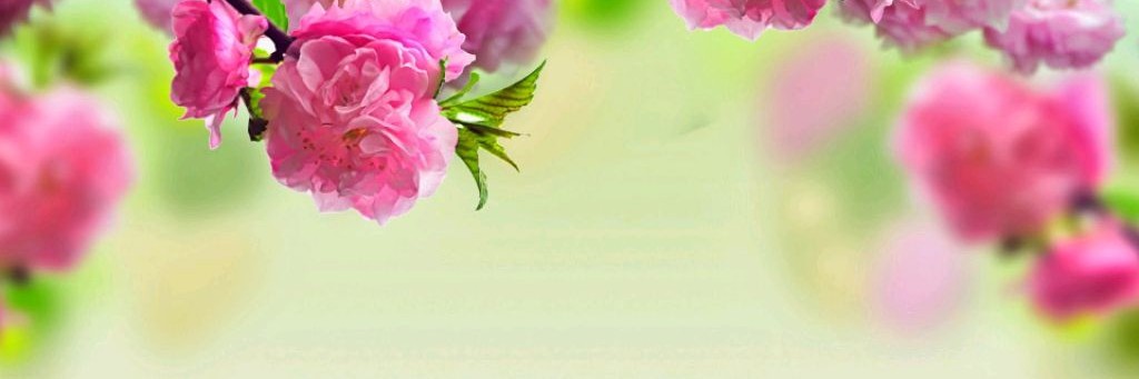 Жизнь в стиле ЗОЖ