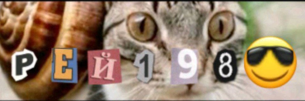 ☭РЕЙ198☭♀️