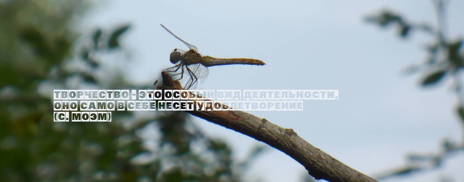 Андрей Субботин #андрейсубботин