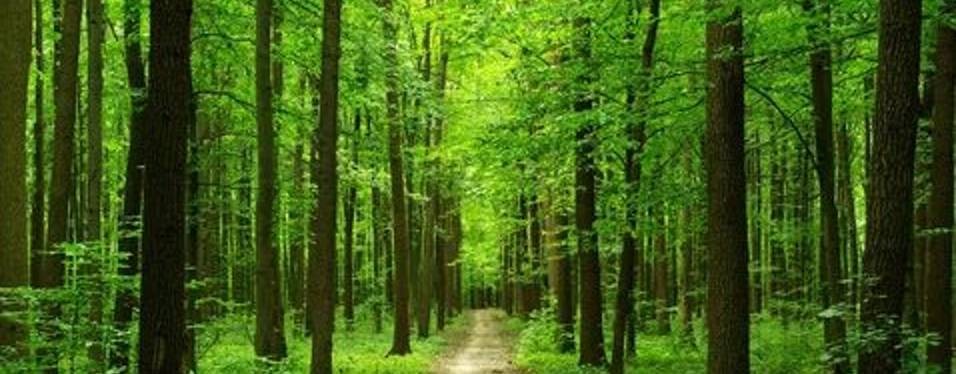 Походы с семьёй Валл