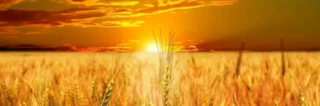 Любовь Березнева            Любовь Под Солнышком