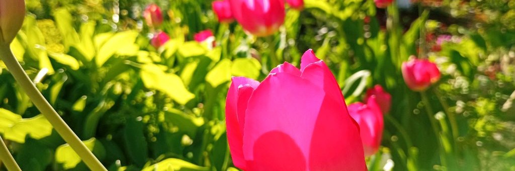 Ольга Чернышова