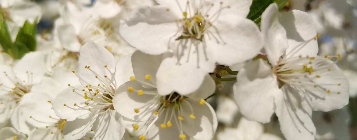 Волшебные места