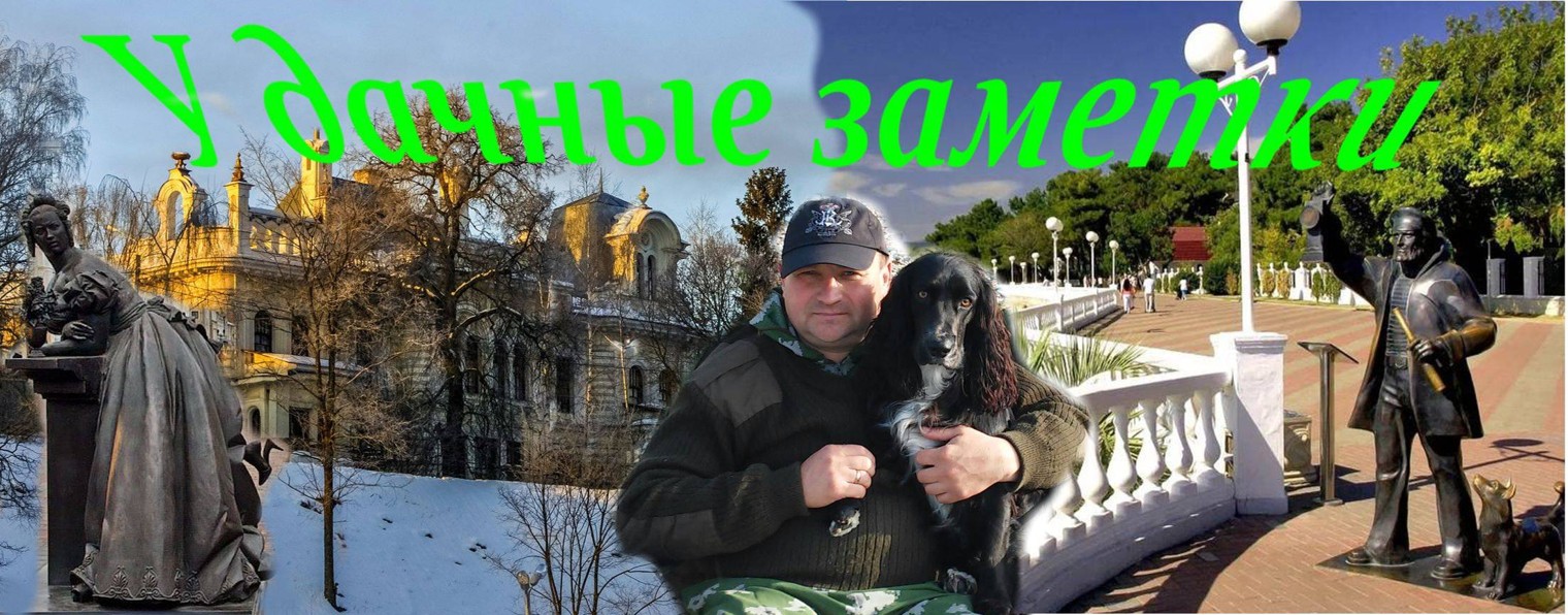 У дачные заметки (жизнь на даче)