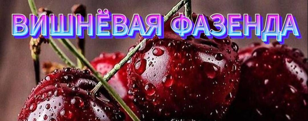 ВИШНЁВАЯ ФАЗЕНДА