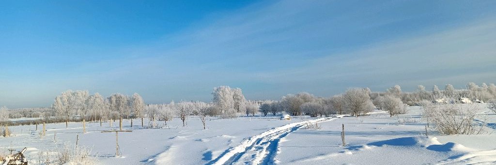 Семейный архив. Жизнь в Деревне.