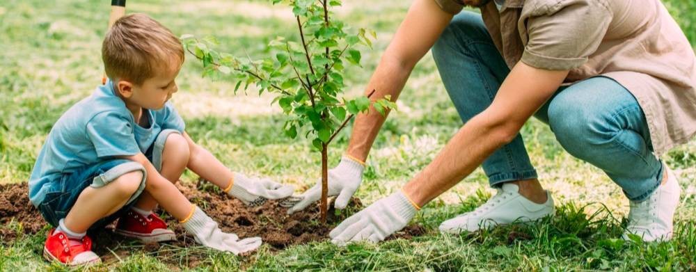 Живое Дерево Тобольск