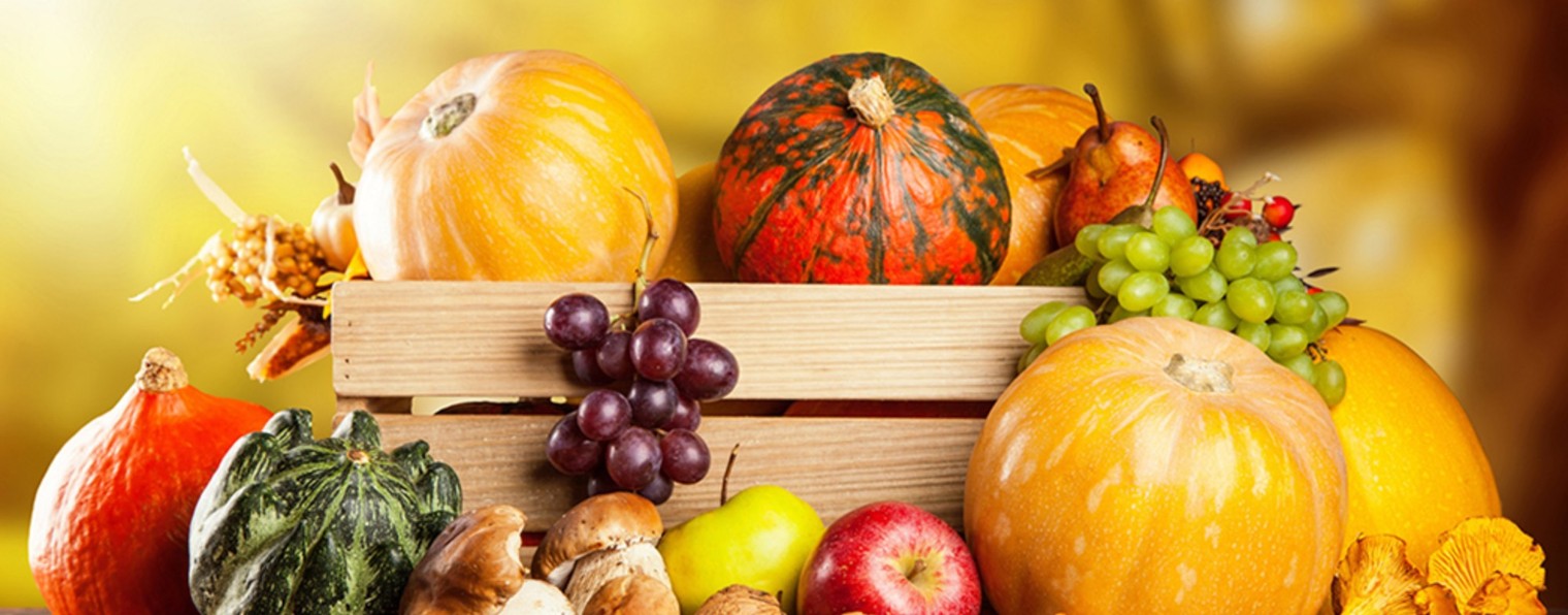 ХОЗЯЙКА дома и сада