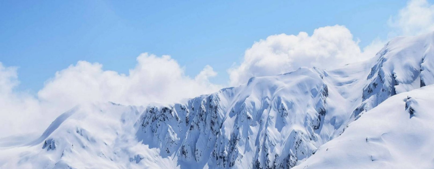 Tarmandranat Mandragor (Pavel)