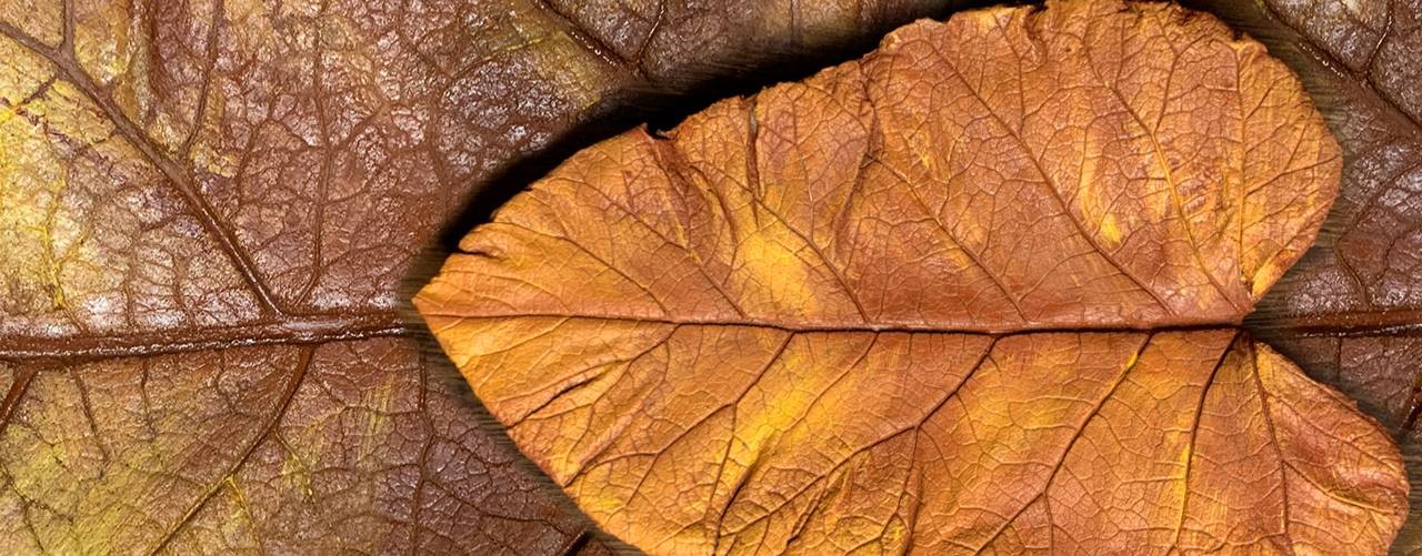 Бетон & Декор