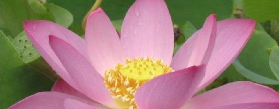 Медитация Психология Саморазвитие