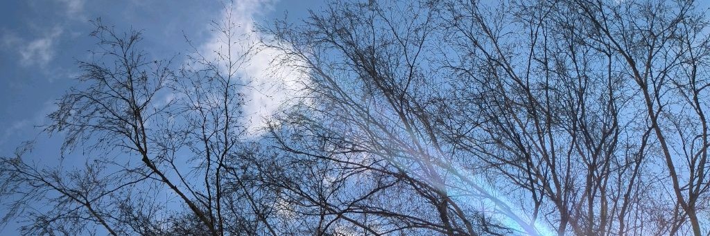 Культура сердца