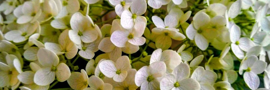 Место Под Солнцем☘️☀️