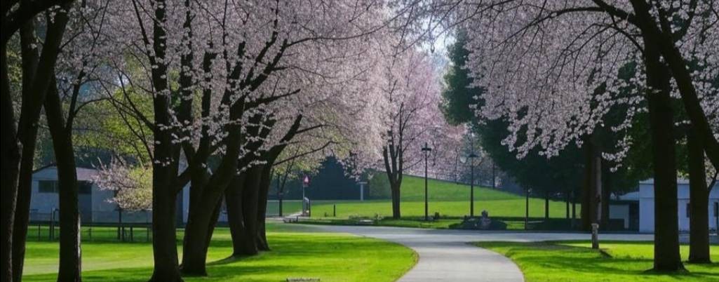 История и культура в НИУ МЭИ