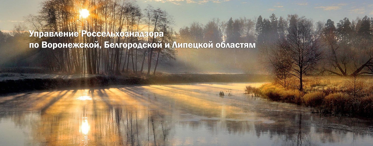 Россельхознадзор Воронеж-Белгород-Липецк
