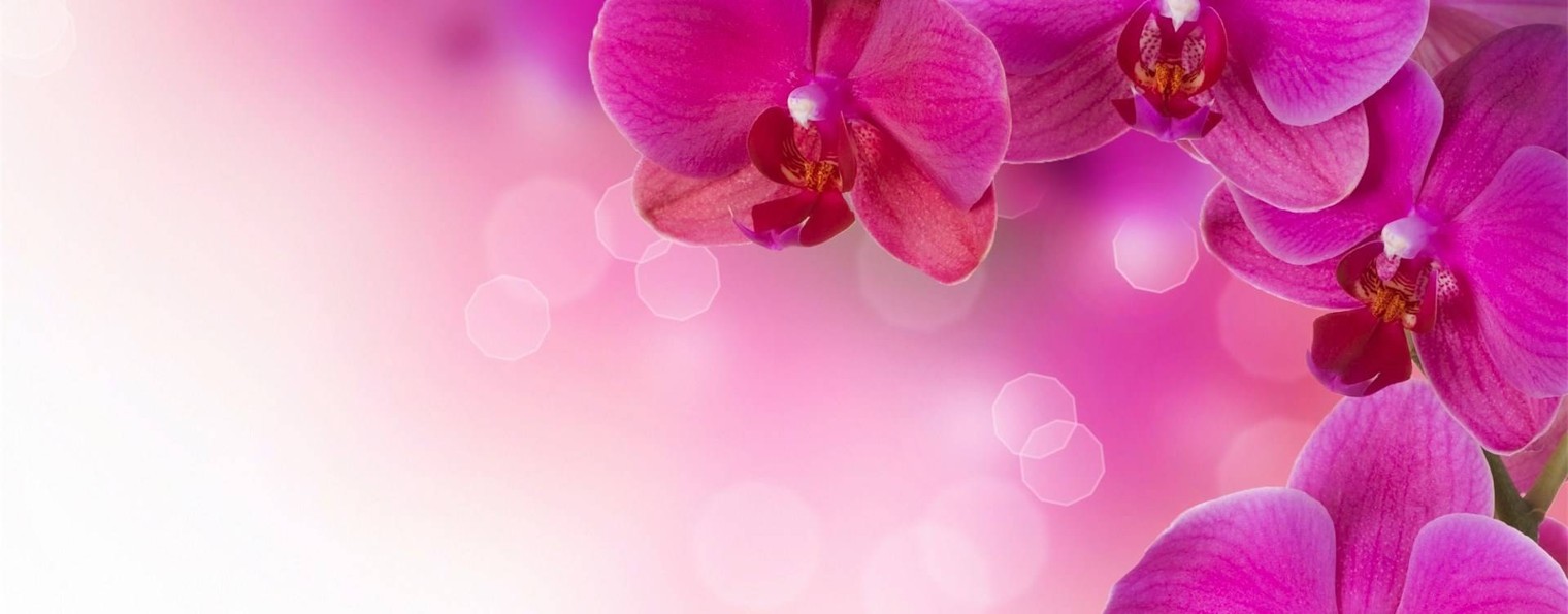 Мое Хобби. Елена