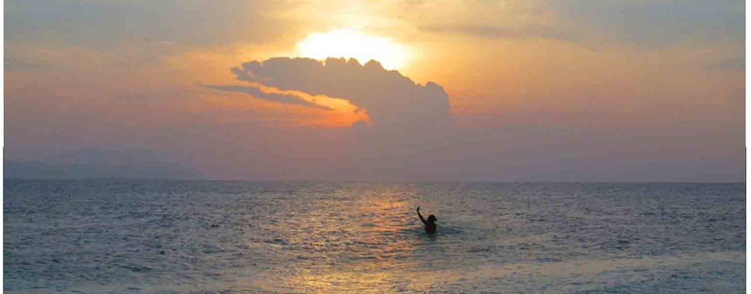 "Через три материка". Владимир Минский