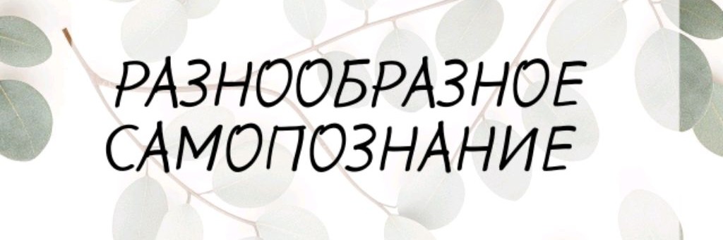 Openew - открывая новое