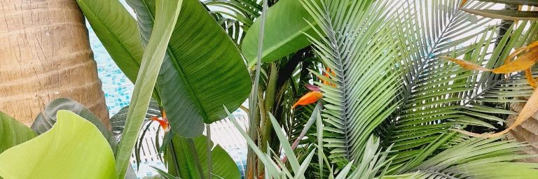 Svetlana🚫Bez🚫Obmana