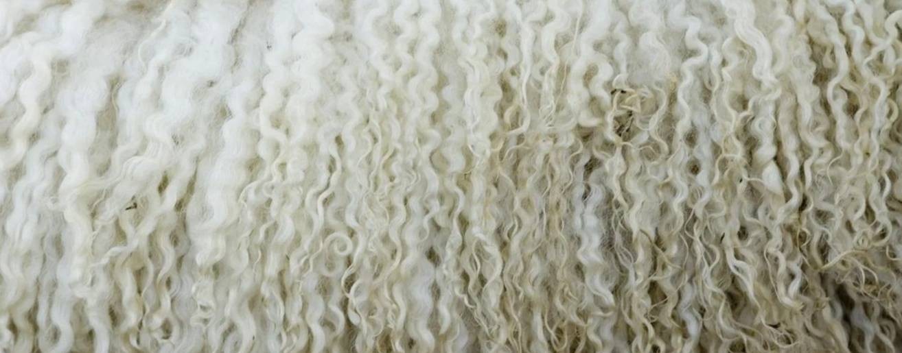 "Другой канал"