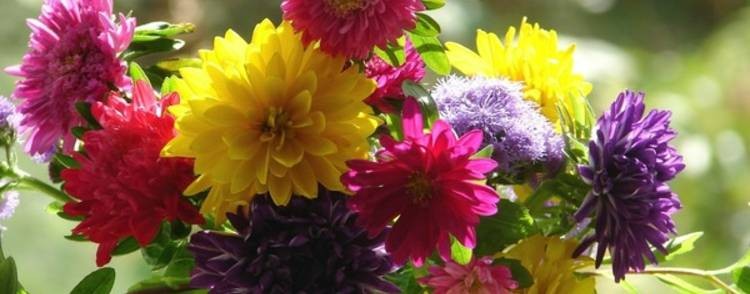 ИЗ ГОРОДА В ДЕРЕВНЮ. Ирина и Вова.