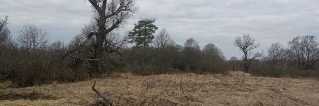 Алина Иванова