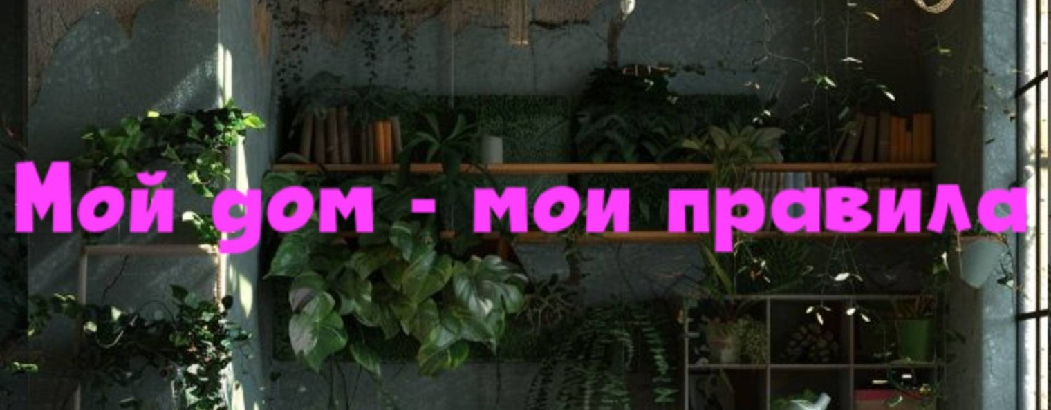 Мой дом - мои правила
