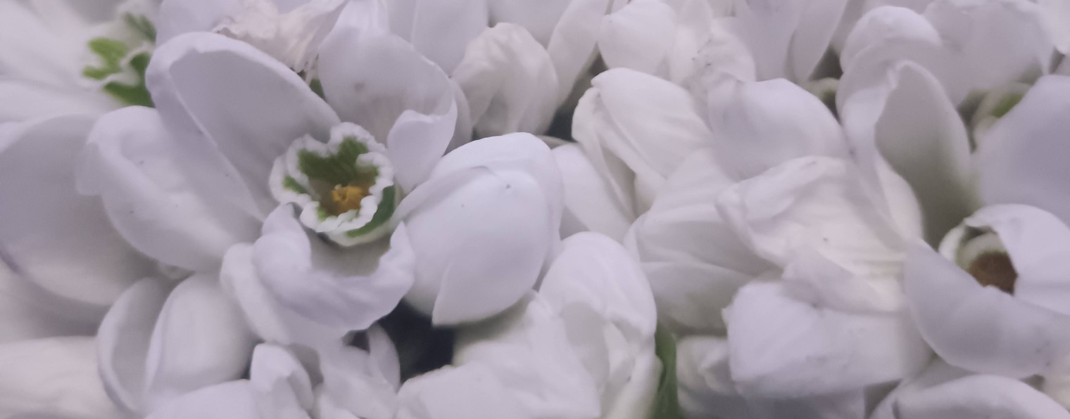 Счастьева, влюблённая в вязание