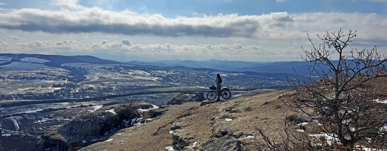 Дорожный бродяга