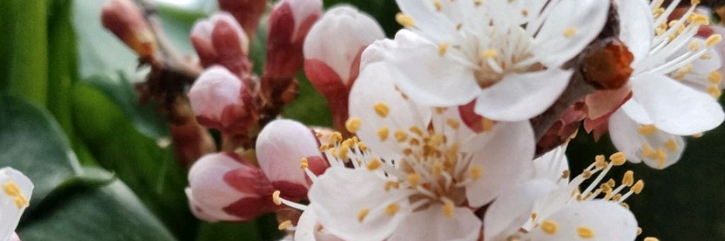 Вязание с Еленой