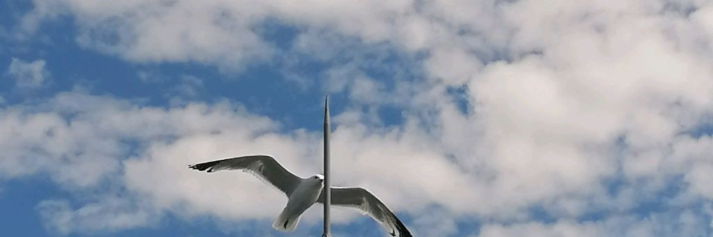 Полина Костарнова | тренер по аэройоге