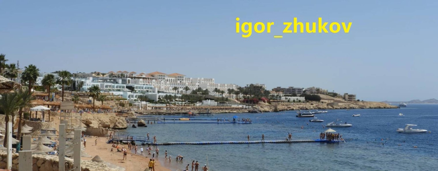 igor_zhukov